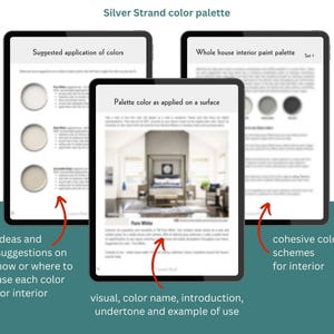 Silver Strand Sherwin Williams Color Palette, Whole House Paint Palette ...
