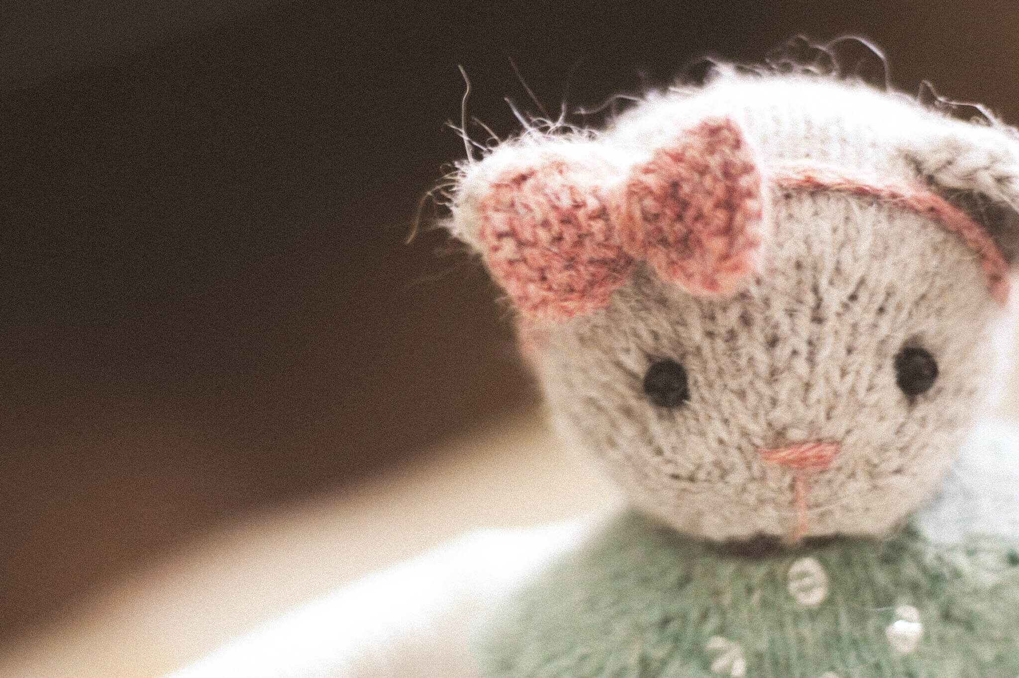 Kitty Knitting Pattern Clothing Description Kitten Knitting Pattern PDF ...