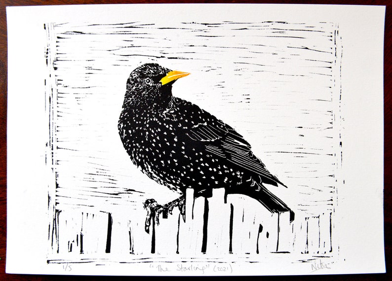 Starling Linocut Print, Original and Hand Printed 5 Editions Signed on ...