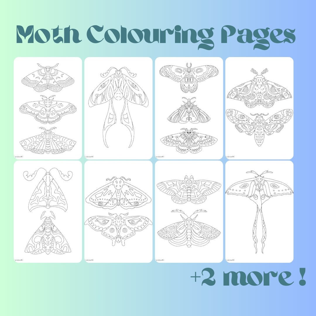 Digital Moth Colouring Pages Printables - Etsy