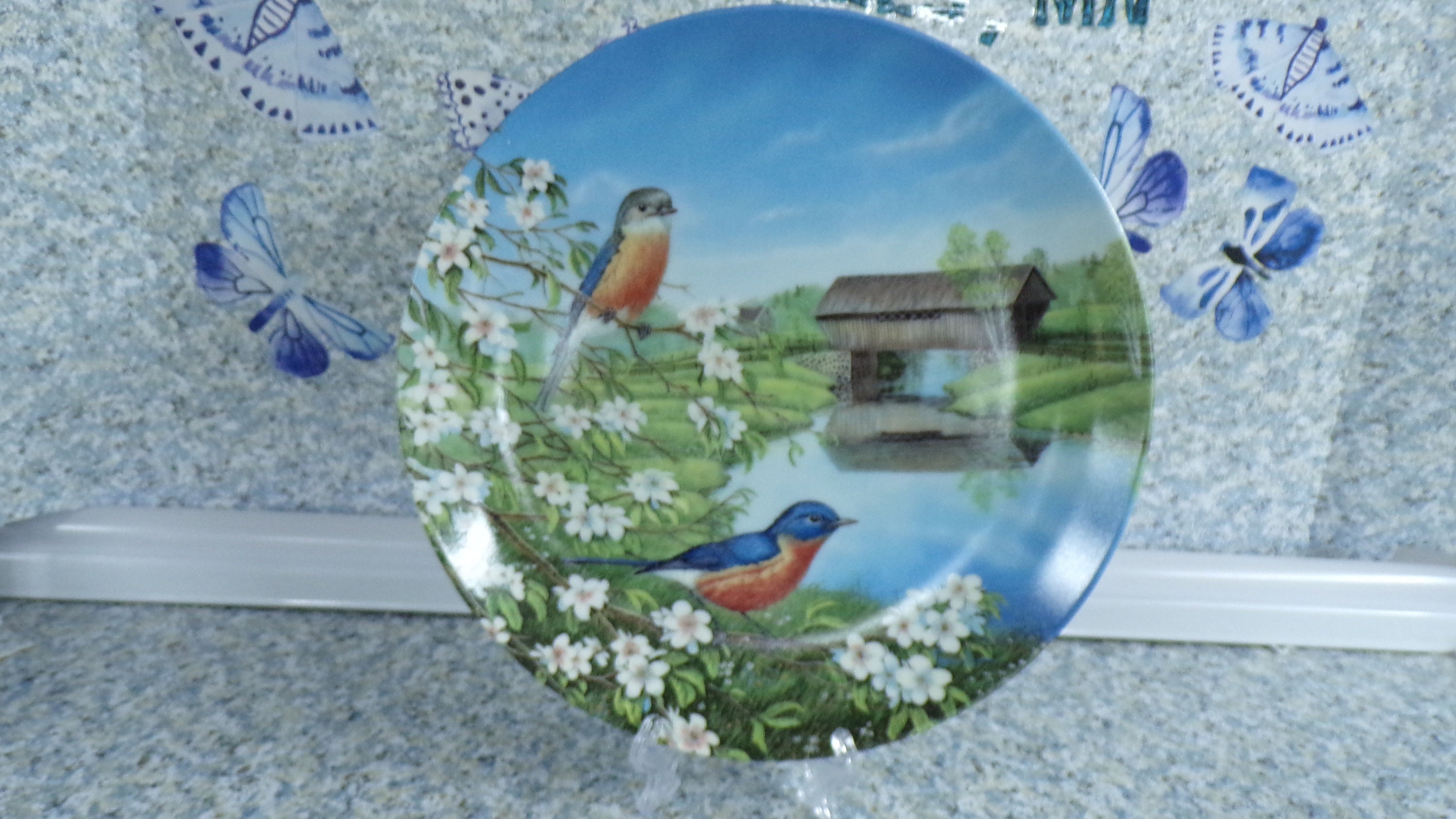 Western Bluebird Dishes