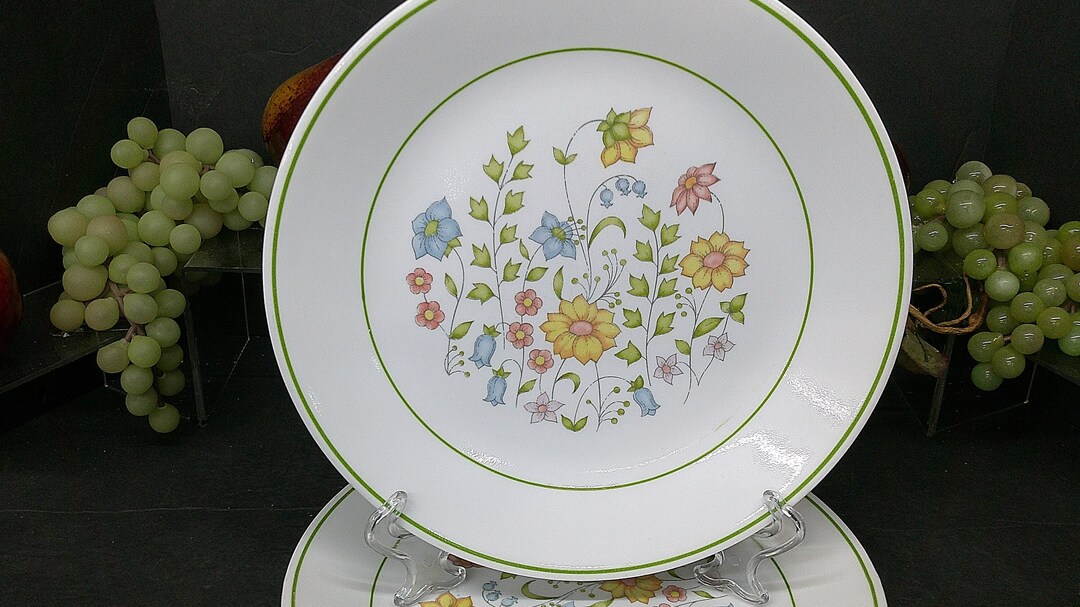 2402016 Corelle Spring Meadow 10.25 Mixed Floral Green Rim Dinner ...