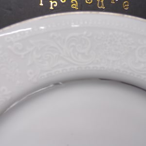 2311 Salem China Co. Translucent Lace Bouquet Fine China Dinnerware W ...