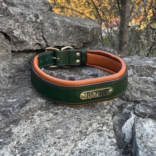 Green Leather Collar - Etsy