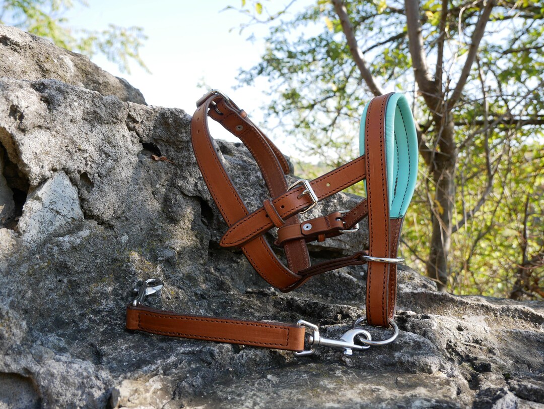 No Pull Dog Head Collar Size XL, Leather Dog Halter, Anti Pull Head ...