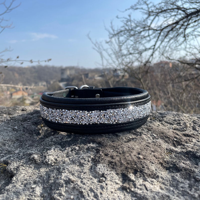 Bling Dog Collar - Etsy