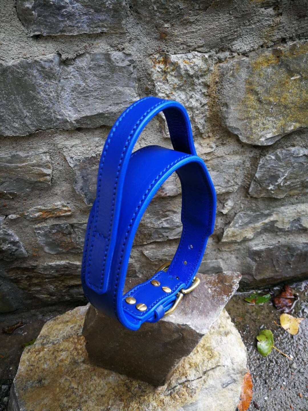 Flat Handle Dog Collar, Leather Handle Dog Collar, Blue Leather Handle ...