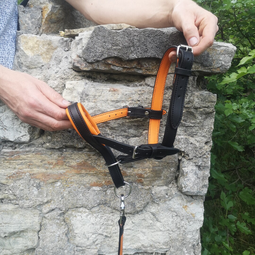 Dog Head Collar, Dog Muzzle Alternative, Soft Dog Muzzle Head Collar No ...