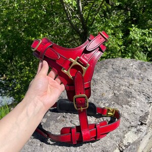 Red Leather Dog Harness With Handle, Brass Buckles Large Dog Harness - Etsy