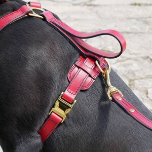 Red Leather Dog Harness With Handle, Brass Buckles Large Dog Harness - Etsy