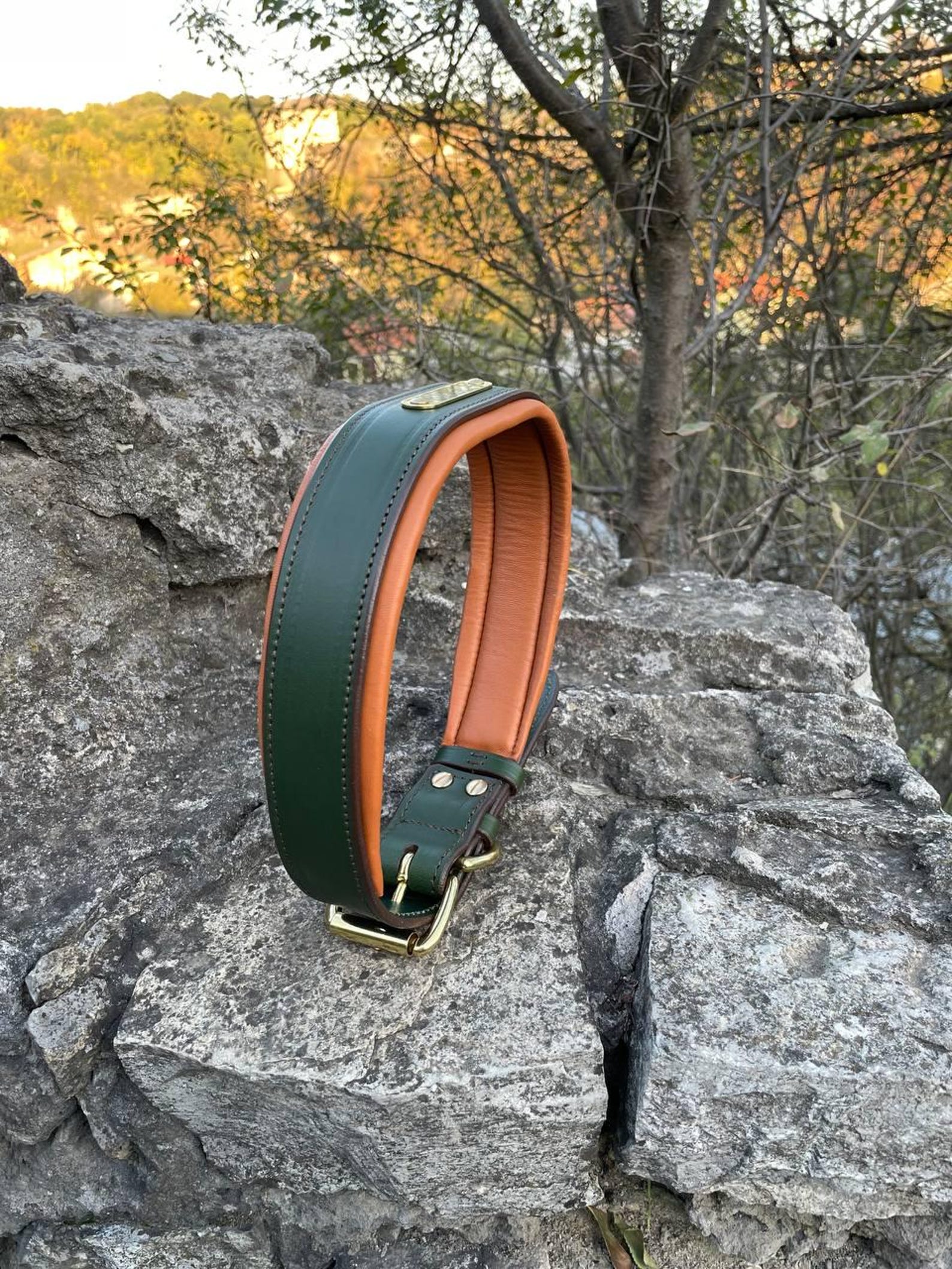 Green Leather Dog Collar With Name Plate, Luxury Leather Collars for ...