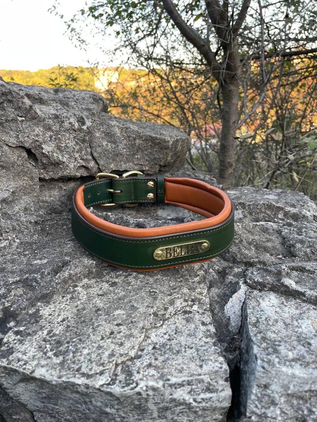 Green Leather Dog Collar With Name Plate, Luxury Leather Collars for ...