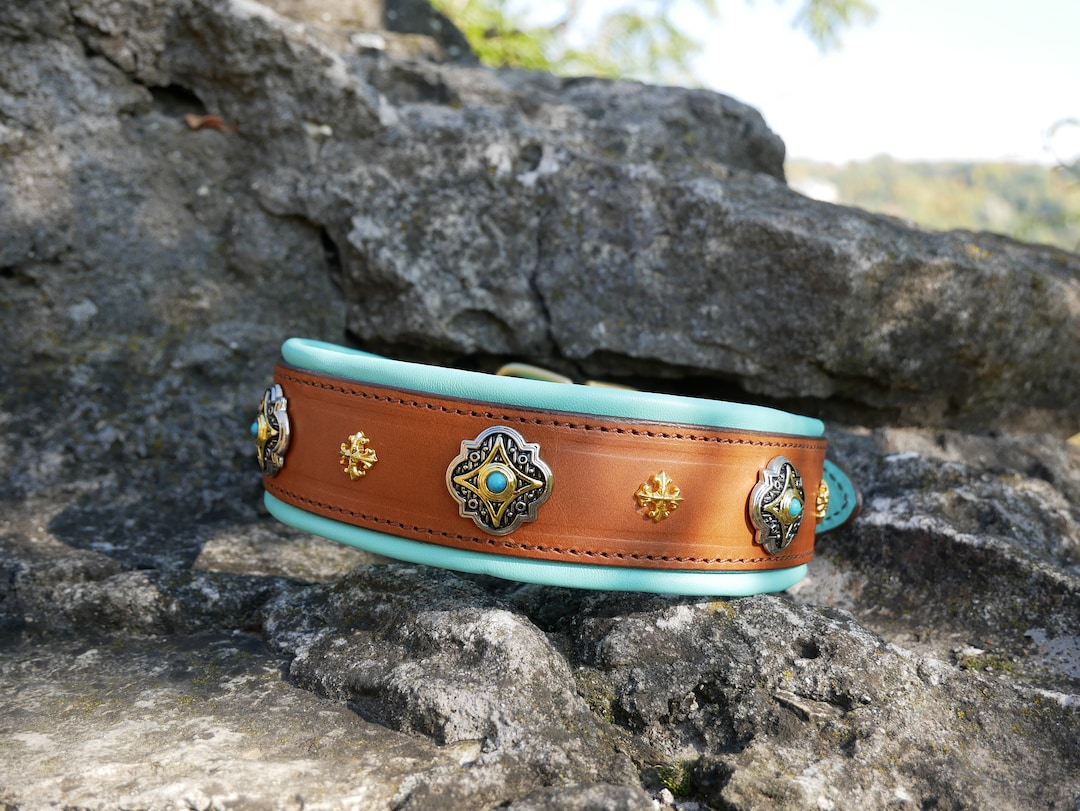Turquoise Leather Dog Collar Wide Padded Collar With Ornaments and ...