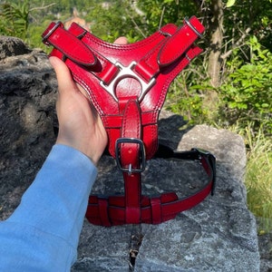 Red Leather Dog Harness With Handle, Brass Buckles Large Dog Harness - Etsy