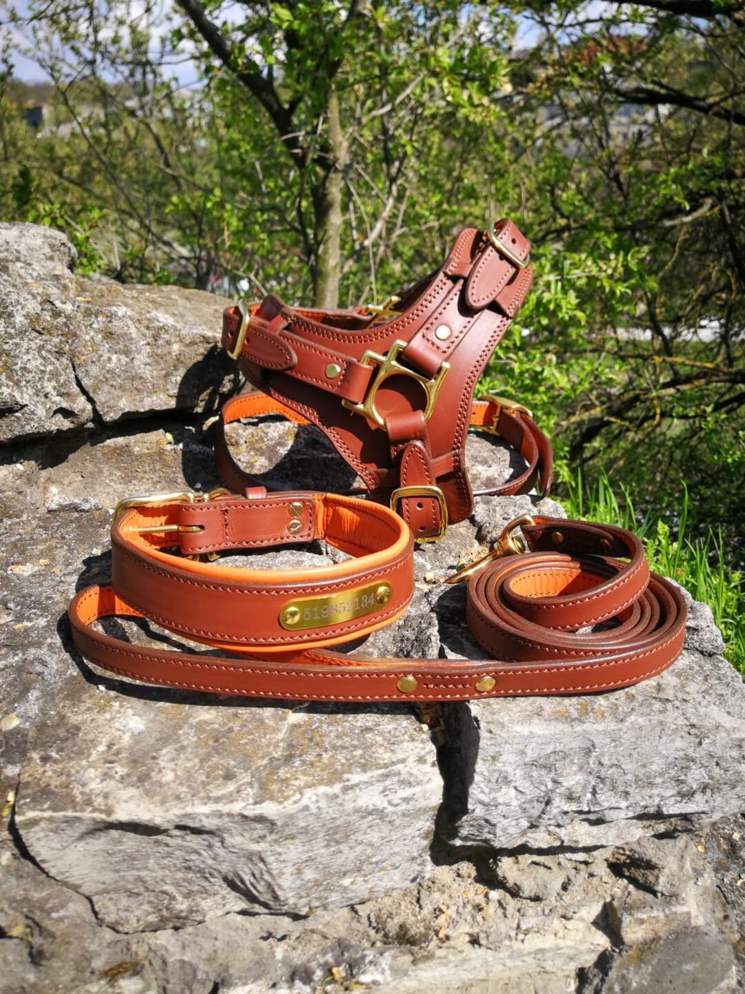 Leather Dog Harness and Leash and Collar Personalized Dog Harness Set ...
