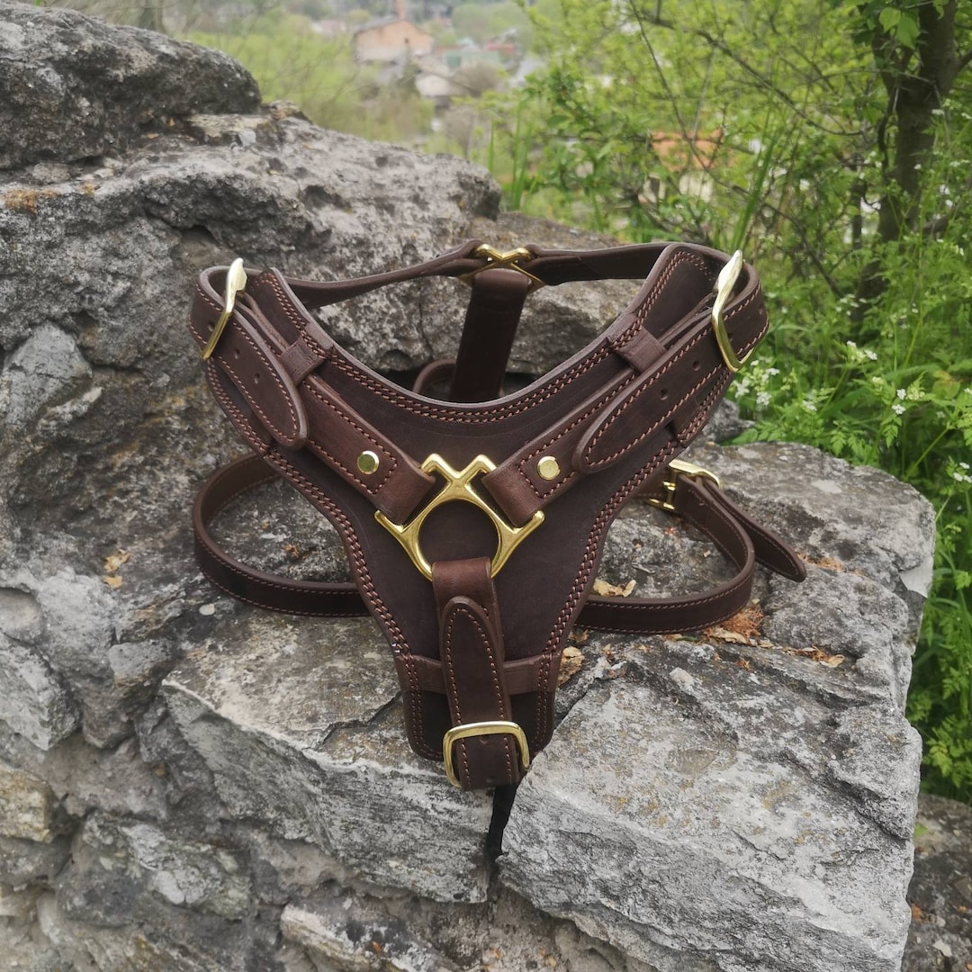Handmade Leather Dog Harness With Handle, Brass Hardware Dog Harness ...