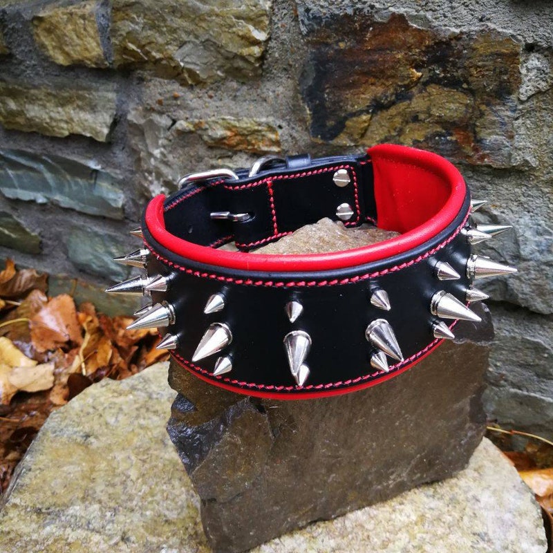 Spiked Dog Collar - Etsy