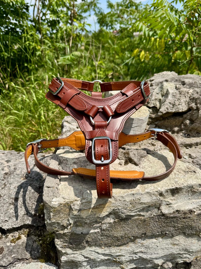 Leather Large Dog Harness With Handle, Xxl Dog Harness for Mastiff ...