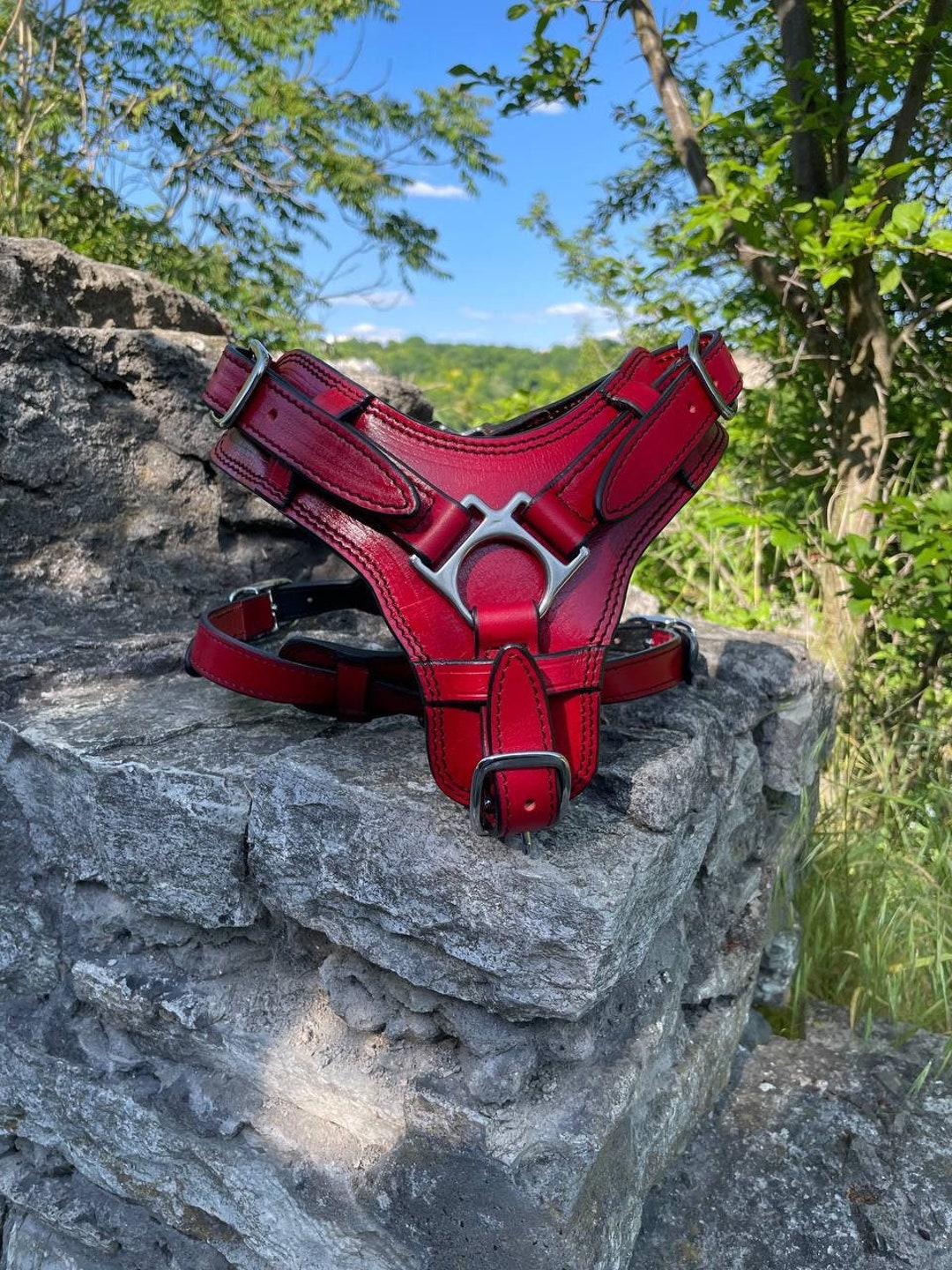 Leather Dog Harness for Large Dog, Agitation Harness for German ...