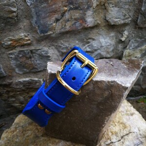 Flat Handle Dog Collar, Leather Handle Dog Collar, Blue Leather Handle ...