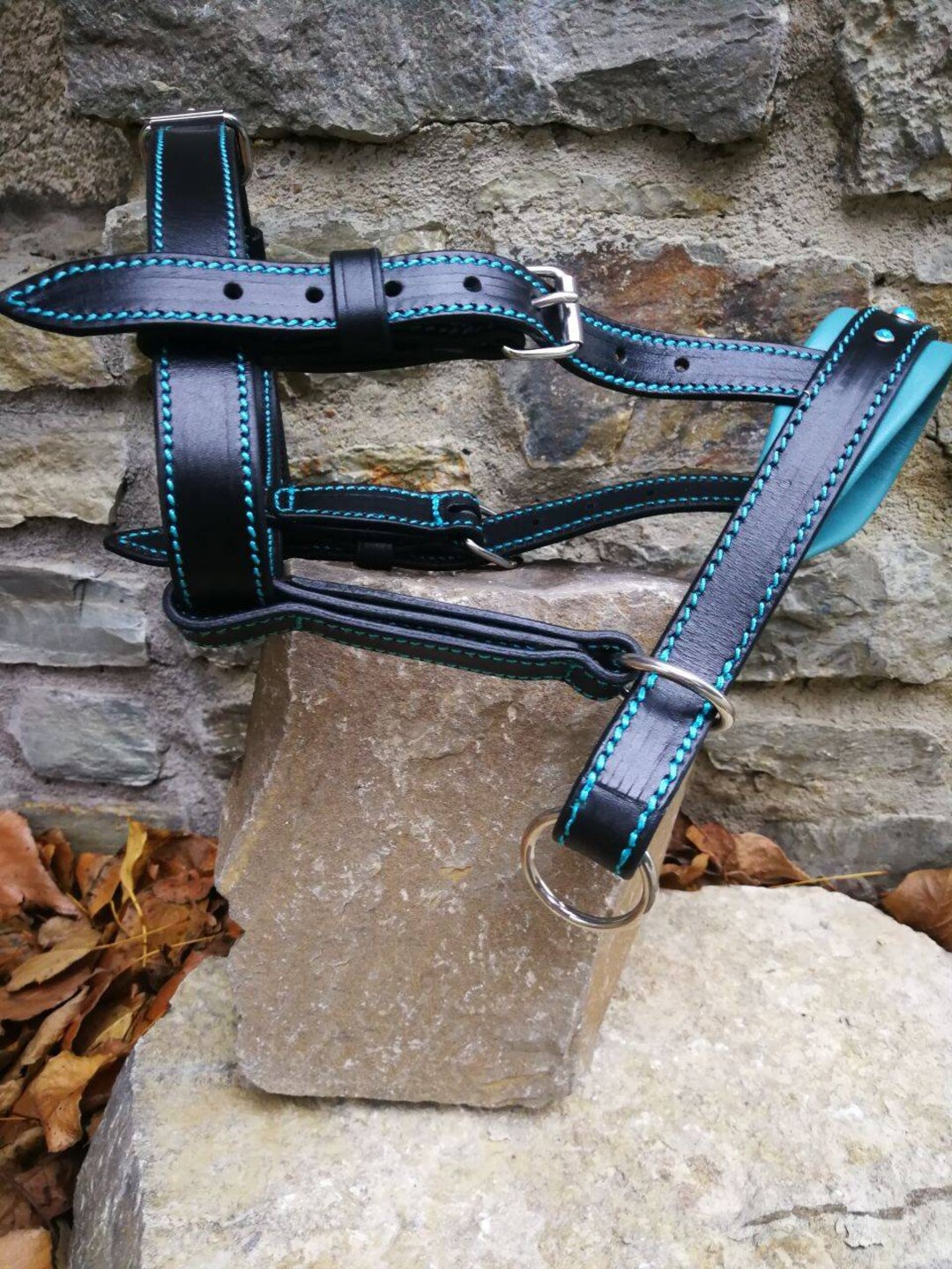 Turquoise Leather Dog Head Collar Size Large - Etsy