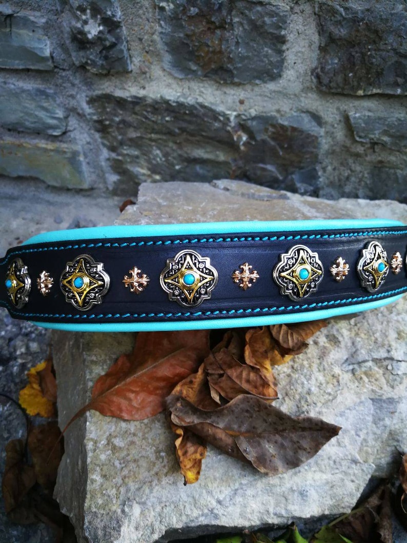 Luxury Padded Leather Dog Collar Blue Leather Dog Collar With - Etsy