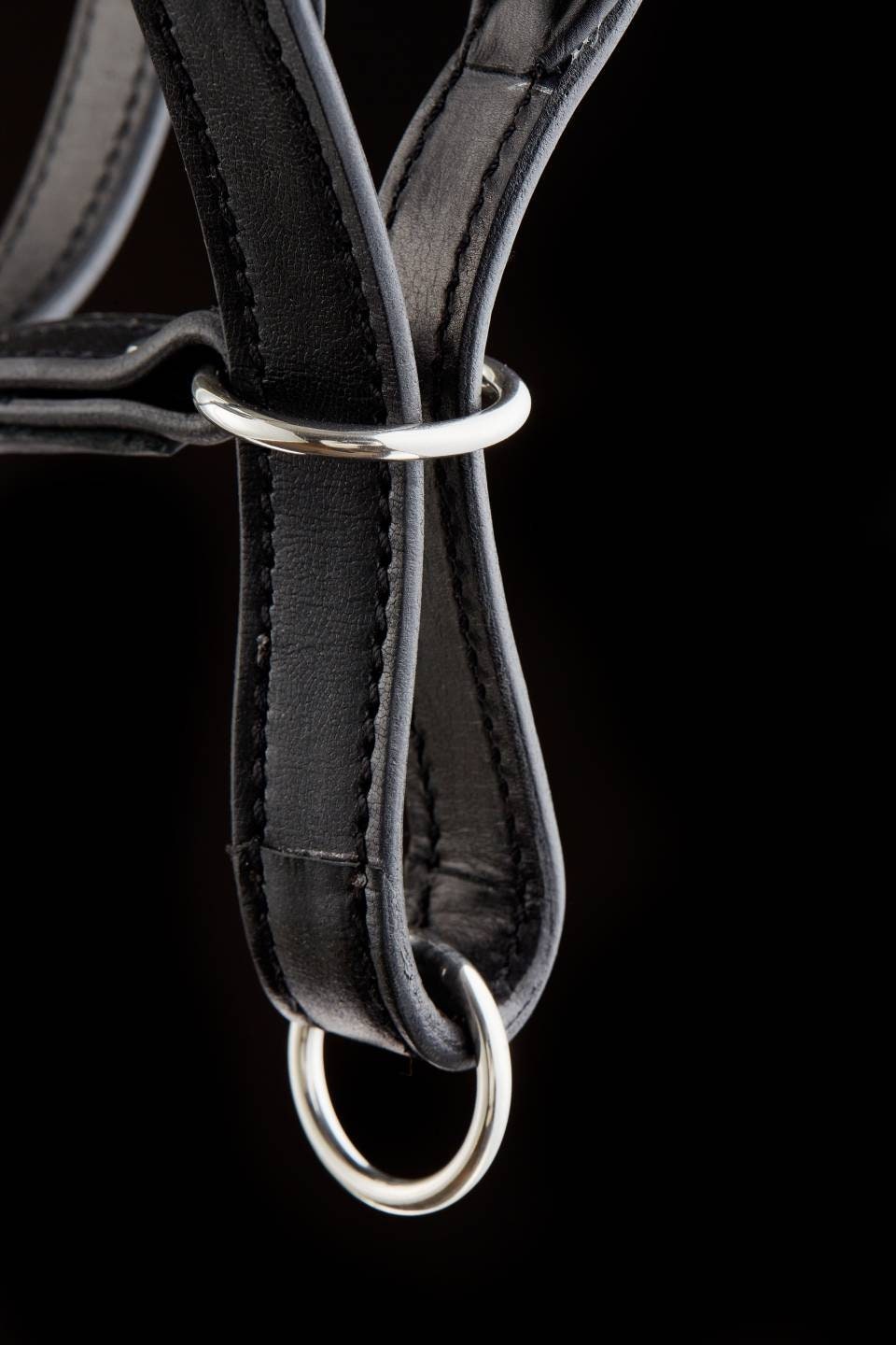 Leather Dog Halter Leather Head Collar Dog Head Collar Dog - Etsy