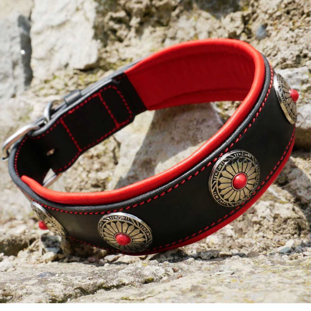 Padded Leather Dog Collar With Conchos, Flowers Decor Dog Collar for ...