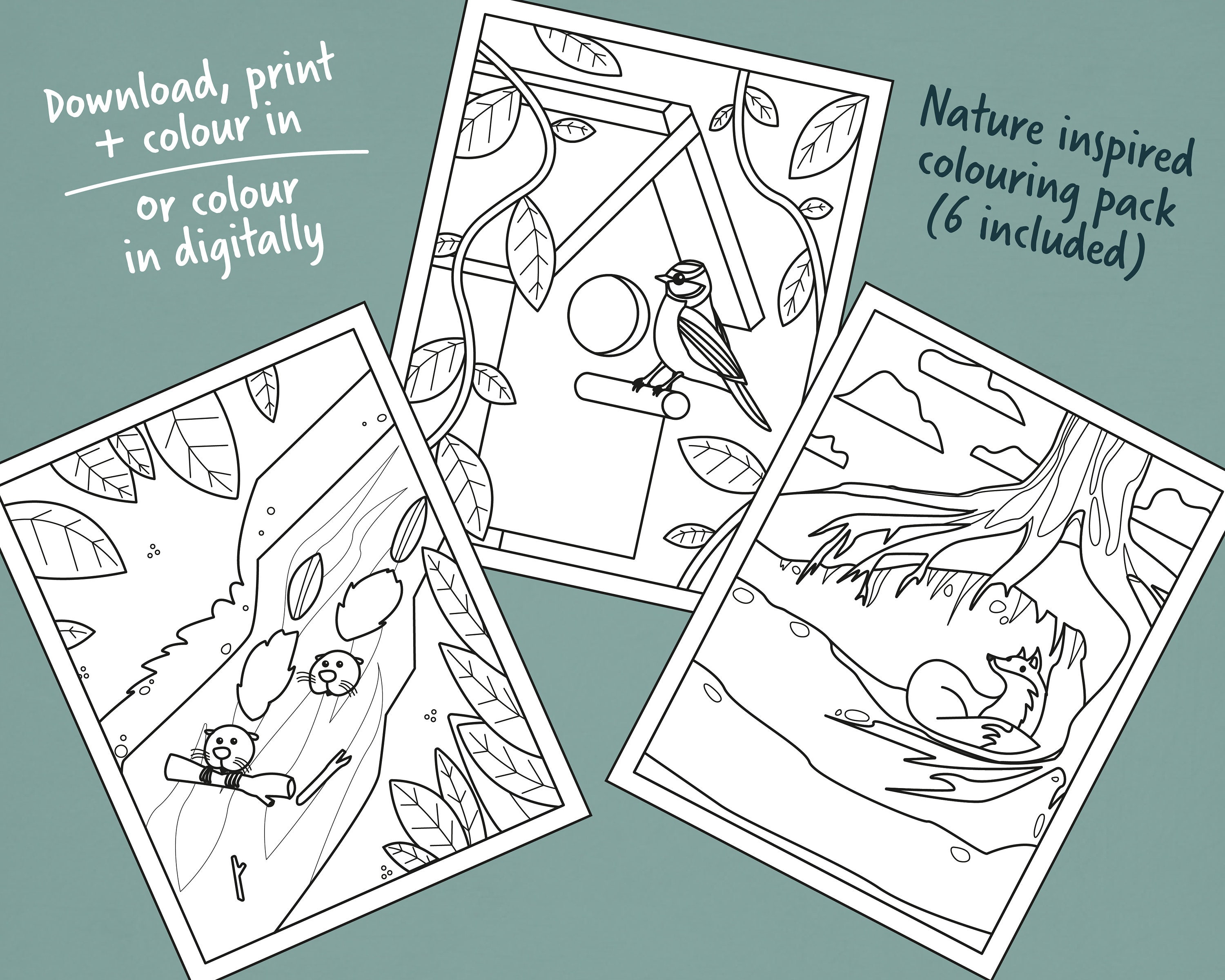 Nature Inspired Colouring Pages Set of 6 for Printable and Digital Use ...