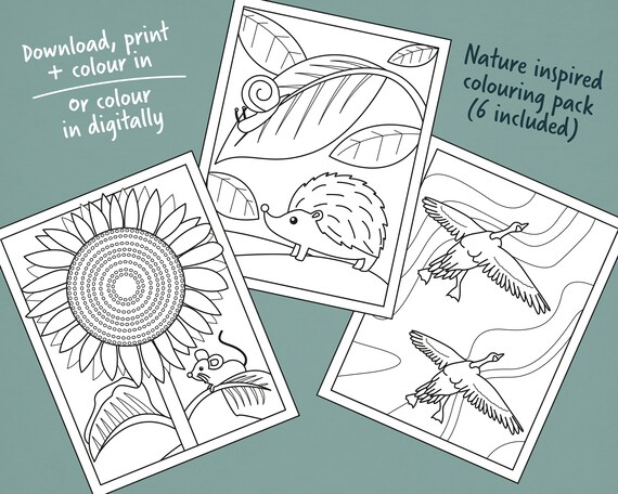 Nature inspired colouring pages Set of 6 For printable and | Etsy