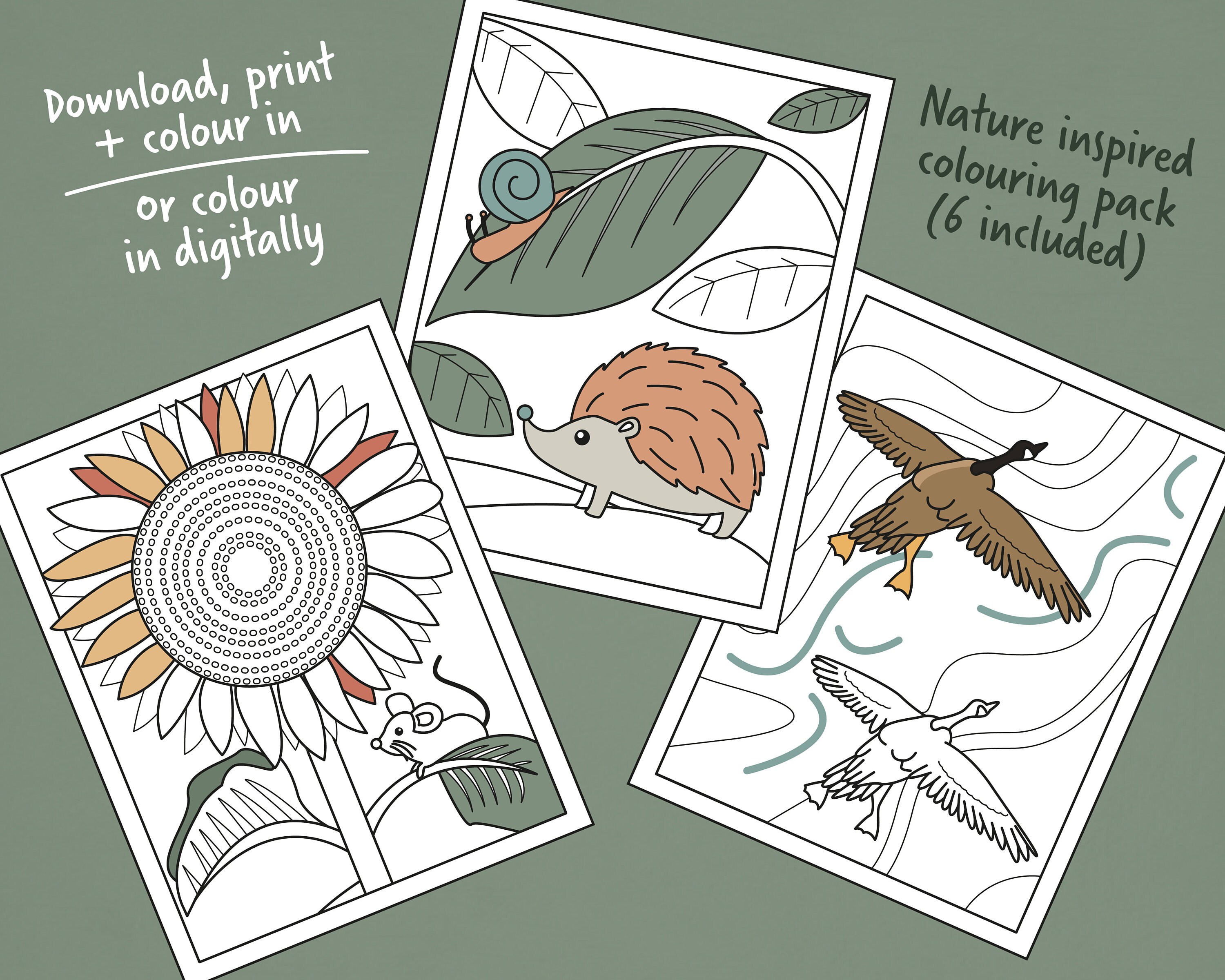 Nature Inspired Colouring Pages Set of 6 for Printable and Digital Use ...