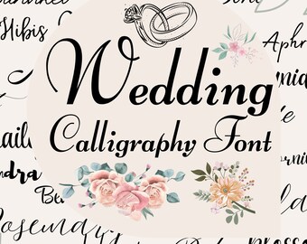 Calligraphy Font Bundle, Wedding Font Bundle, Handwritten Font, Script Font, Cricut Font ...
