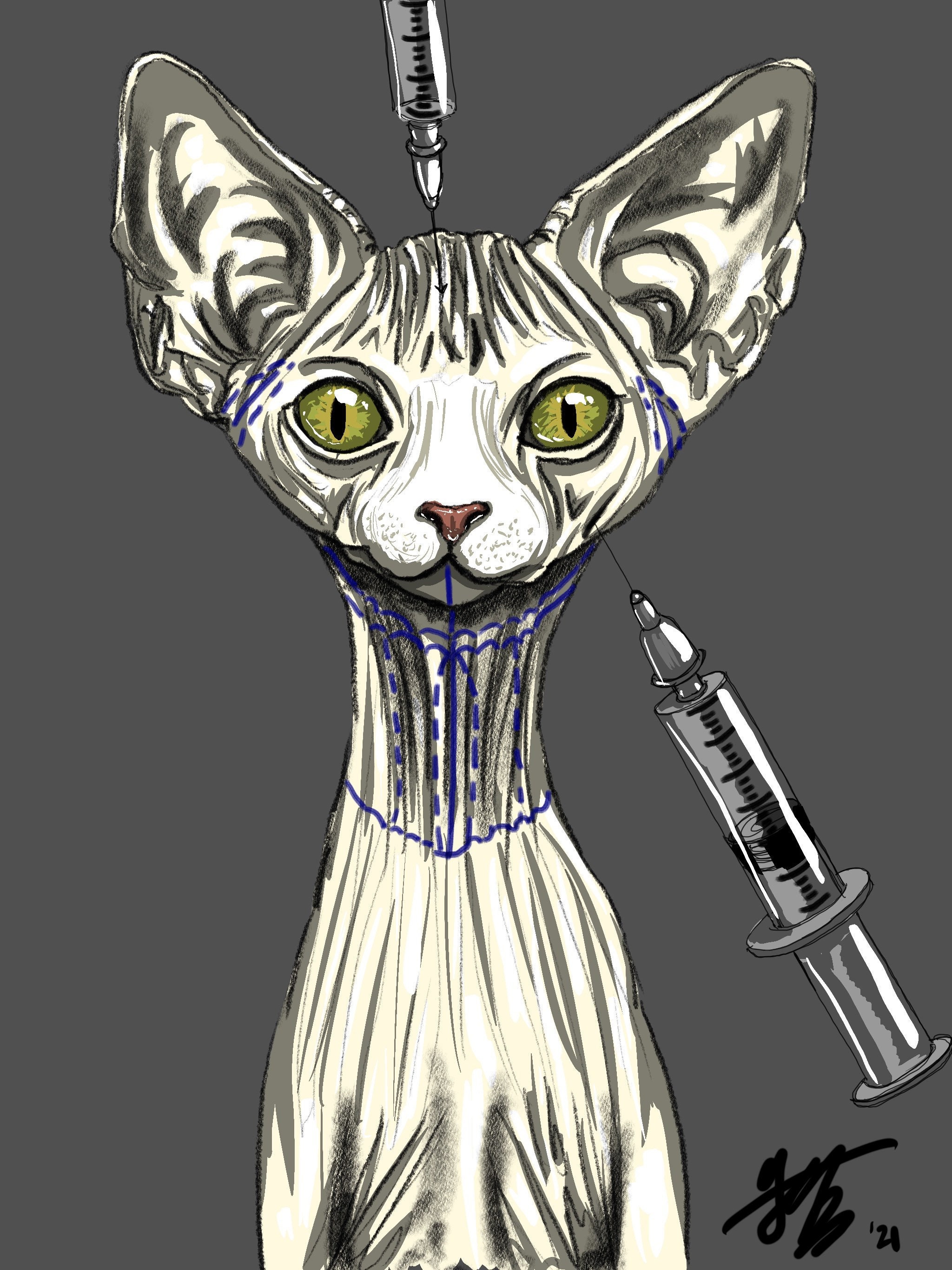 Botox Cat - Etsy