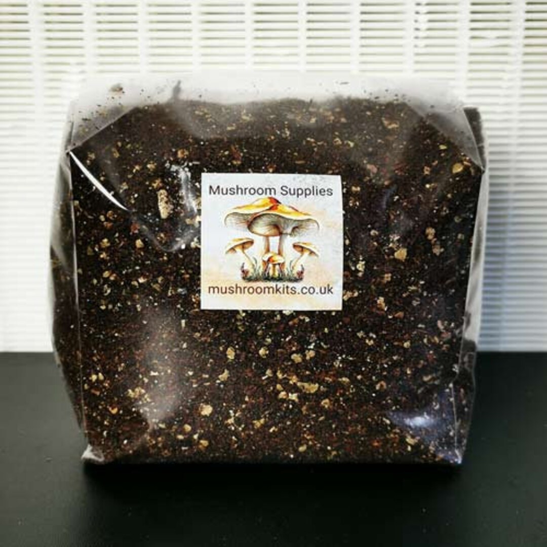 6kg Sterile CVG Substrate for Mushroom Monotub Refills - Etsy