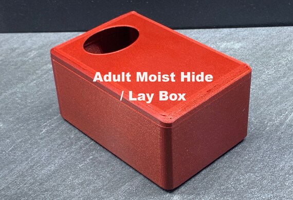 Leopard Gecko Moist Hide / Lay Box - Etsy