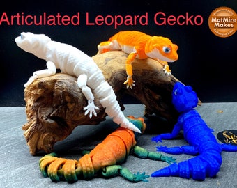 Leopard Gecko Dig Box - Etsy Australia