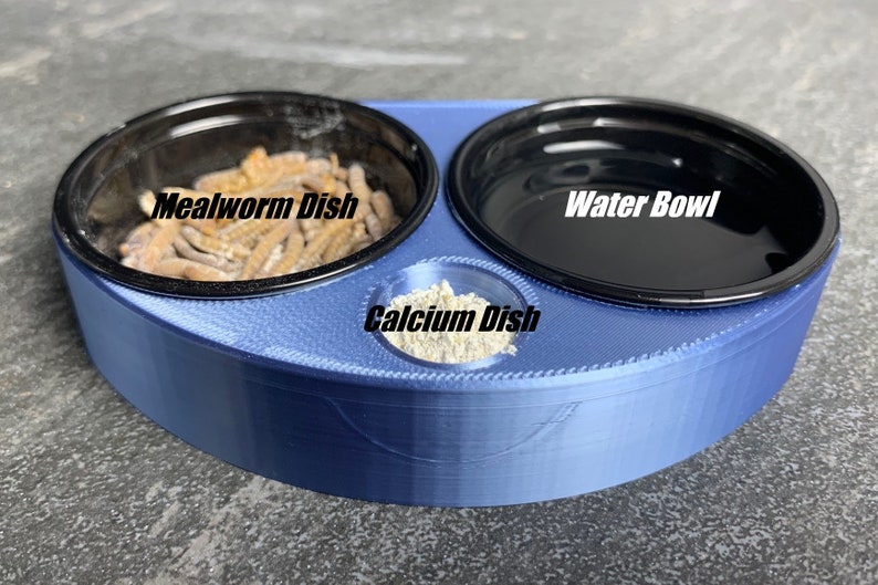 Leopard Gecko Hide, Moist Hide Lay Box, and Feeding Station - Etsy