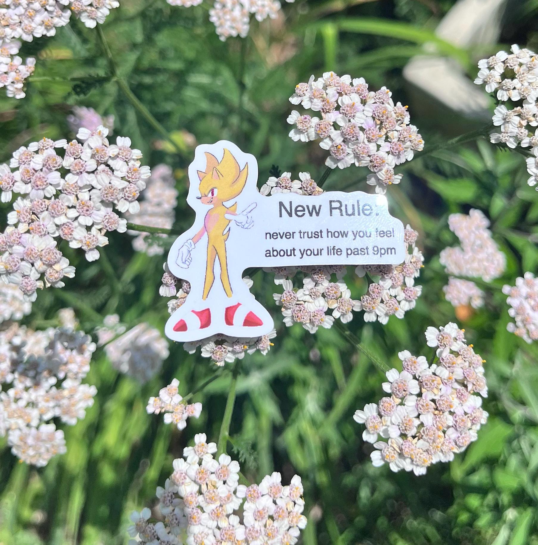 New Rule Sonic Sticker - Etsy