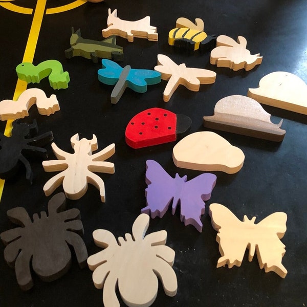 Insect Collection - Etsy