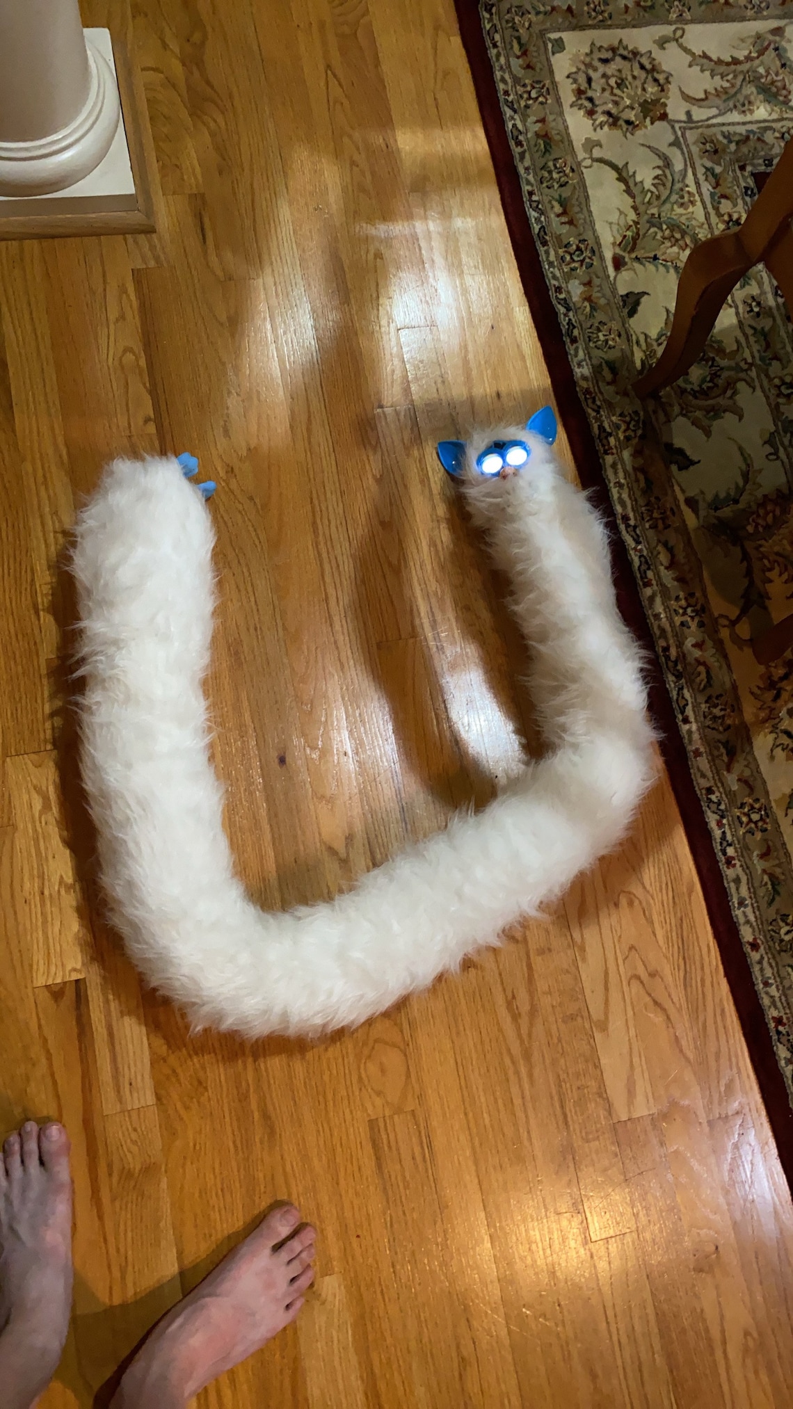 Custom Long Furby Made to Order : - Etsy UK