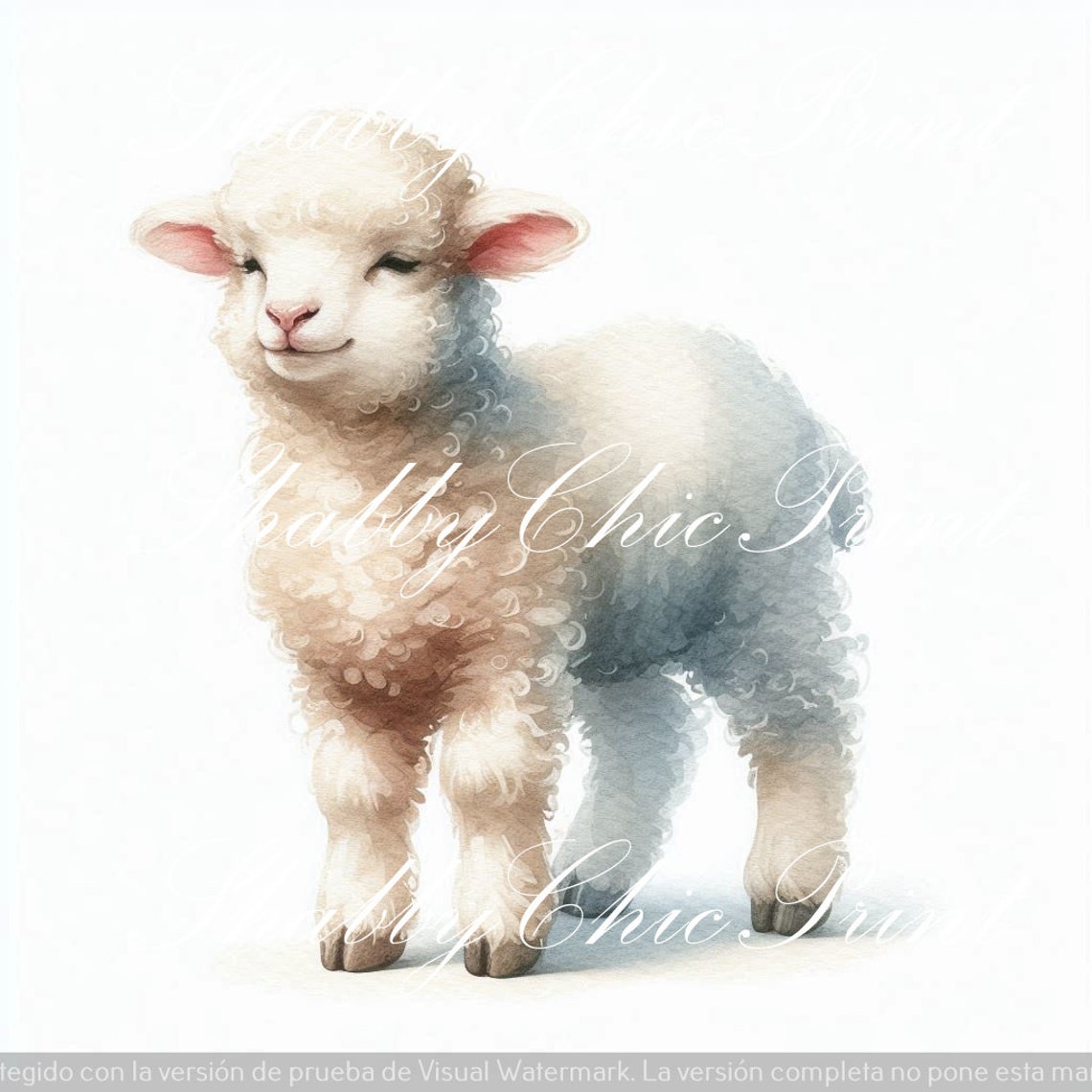 Watercolor, Png, Shabby Chic, Lamb, Sheep, Farm Animals for Junk ...