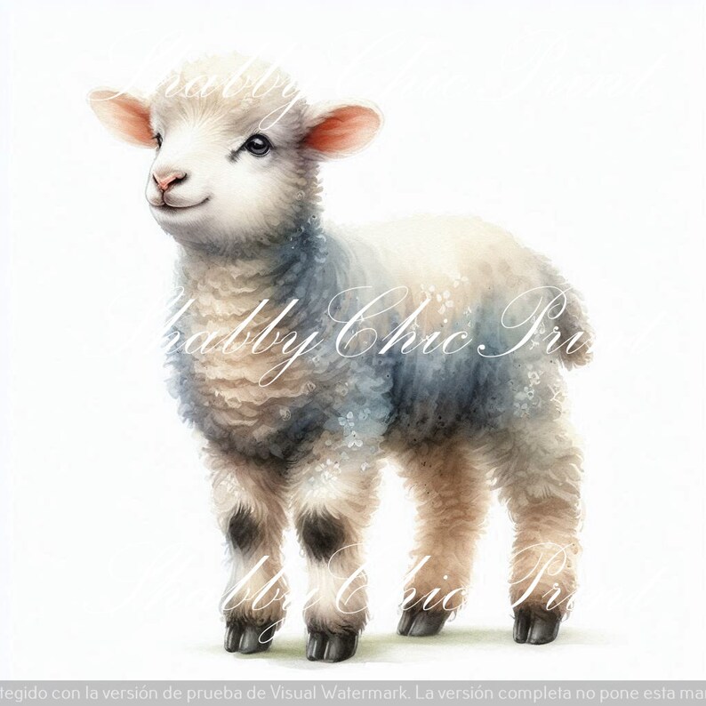 Watercolor, Png, Shabby Chic, Lamb, Sheep, Farm Animals for Junk ...