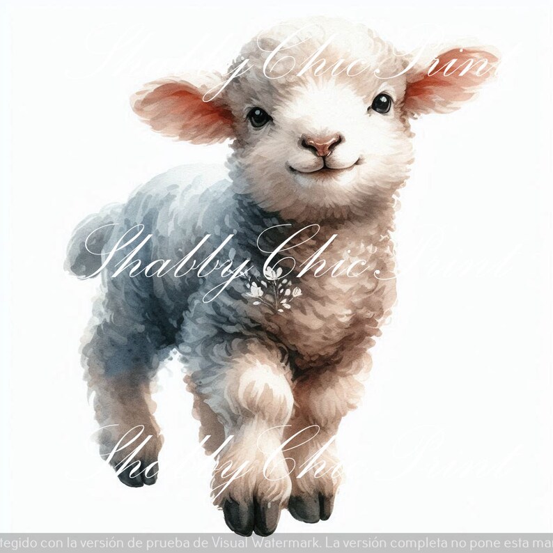 Watercolor, Png, Shabby Chic, Lamb, Sheep, Farm Animals for Junk ...