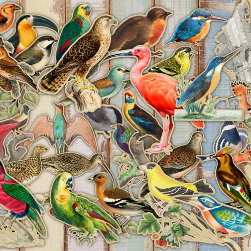 Vintage Birds Clipart Junk Journal Embellishment Printable - Etsy