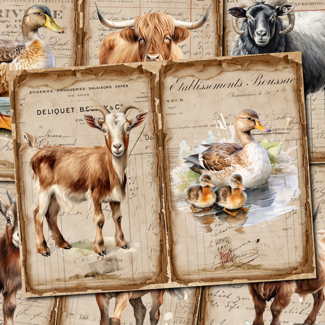 Junk Journal Printable, Farm Animals , Vintage Journal Pages, Farm ...