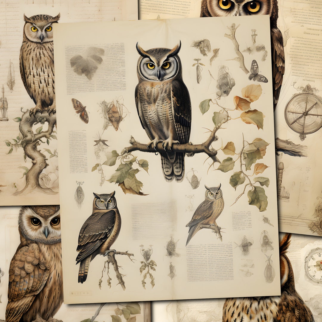 Fantasy Owl Junk Journal Kit Watercolor Owl Journal Pages, Owl Junk ...