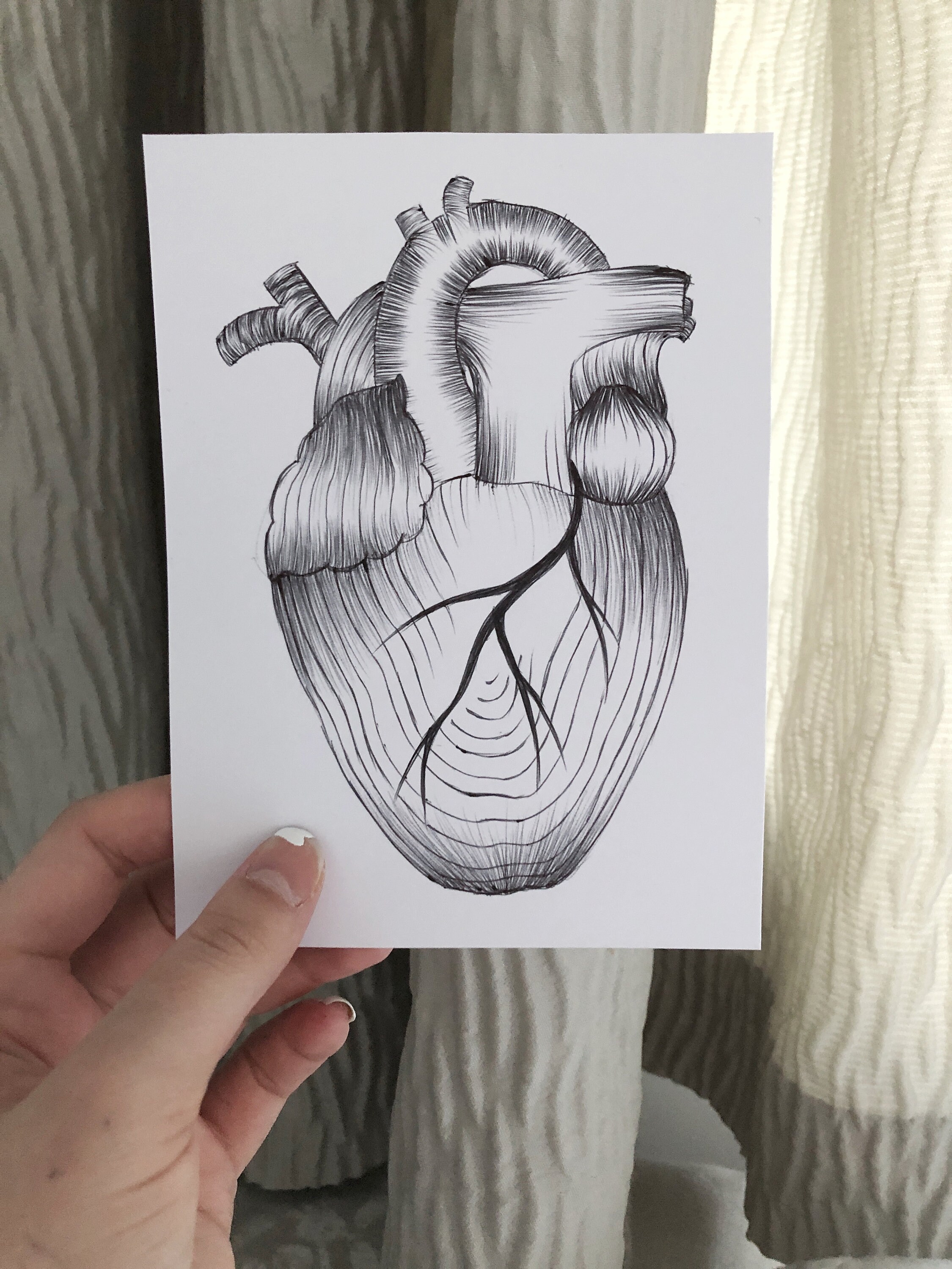Original Mini Human Heart Drawing/ Diagram | Etsy