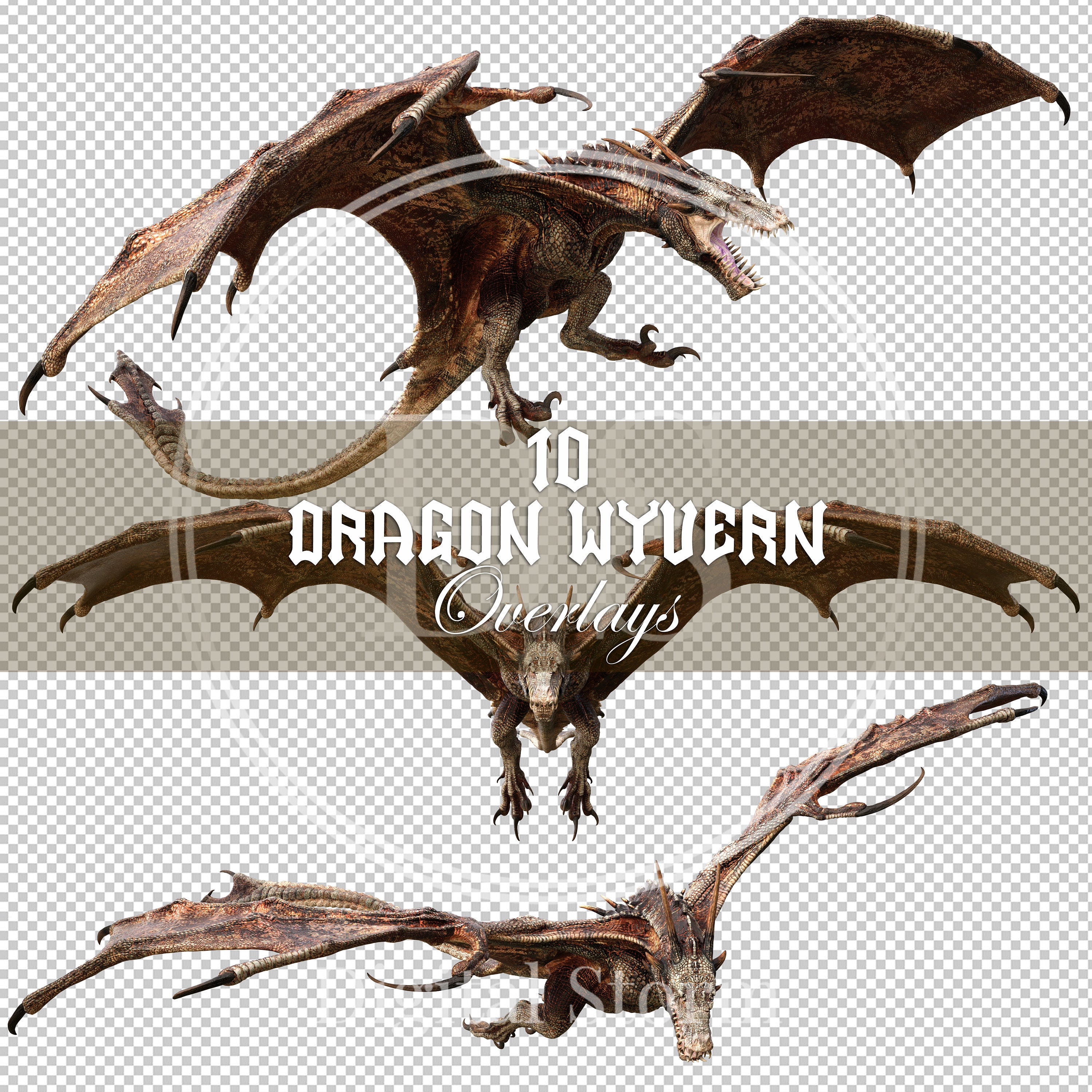 10 Fantasy Dragon Wyvern Transparent Overlays,transparent PNG Dragons ...