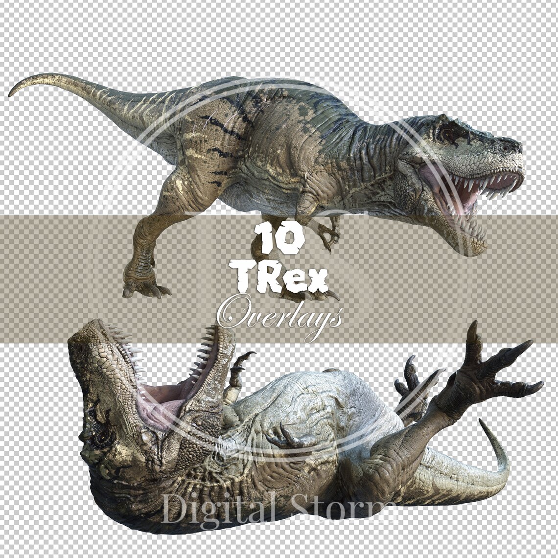10 Trex Transparent Overlays,transparent PNG Trex,t-rex Clip Art for ...