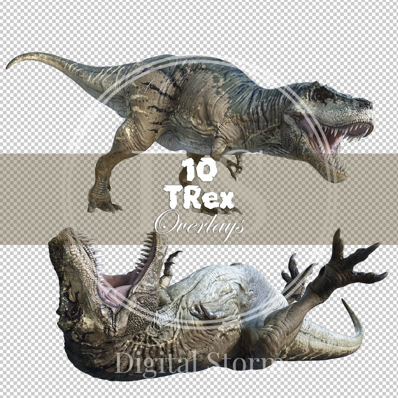10 Trex Transparent Overlays,transparent PNG Trex,t-rex Clip Art for ...